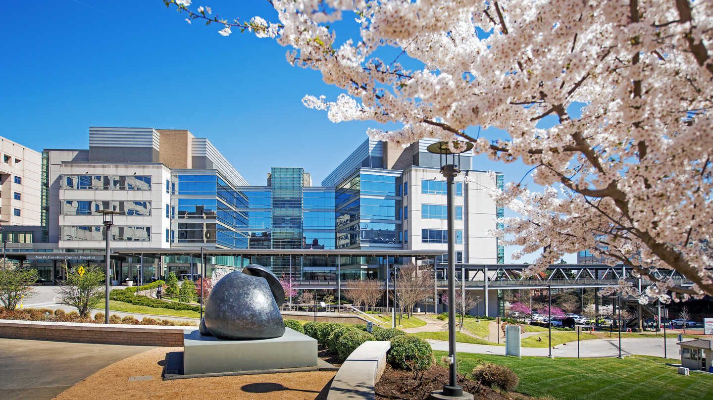 Cancer Care | UNC Health