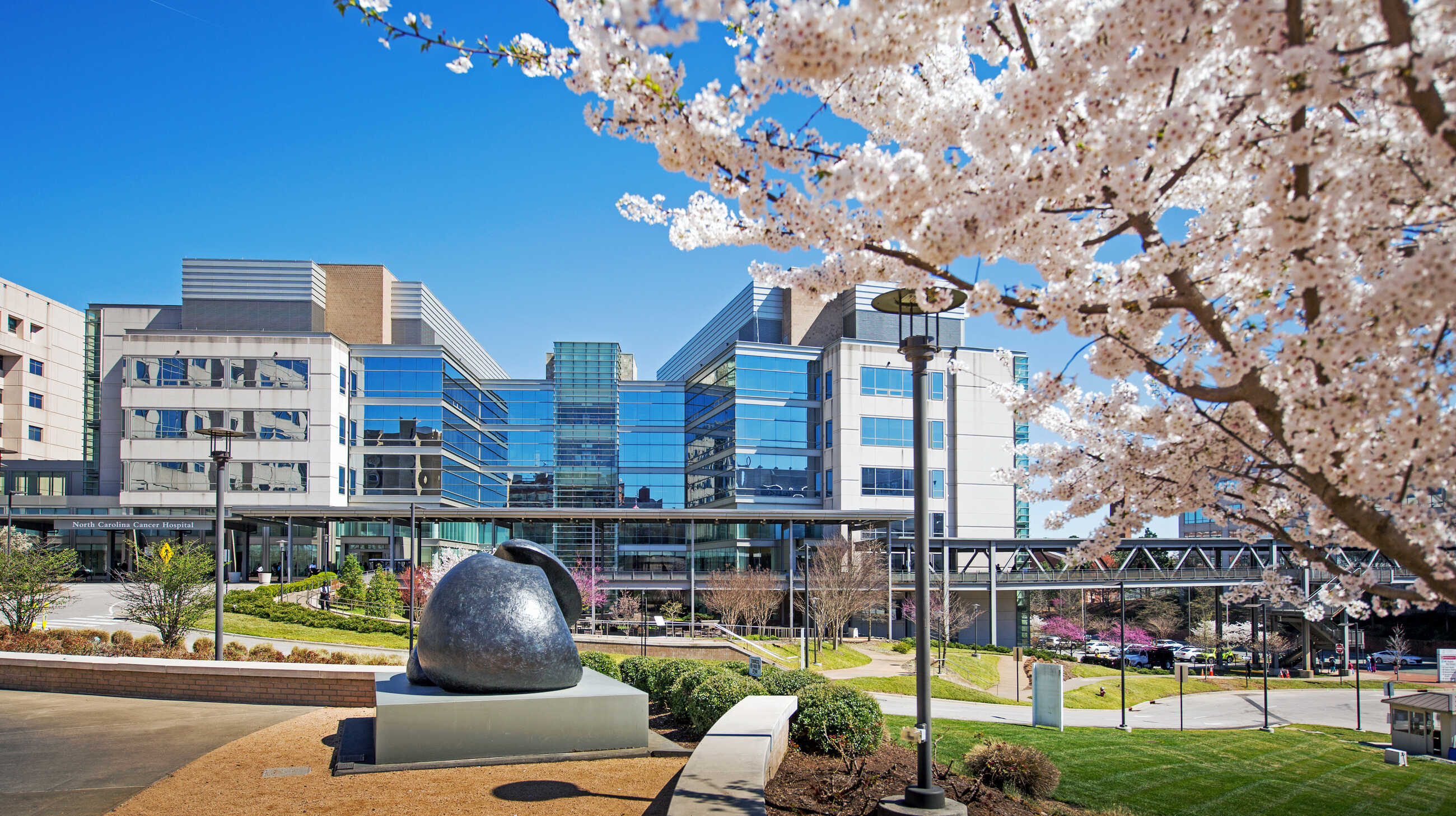 Cancer Care | UNC Health