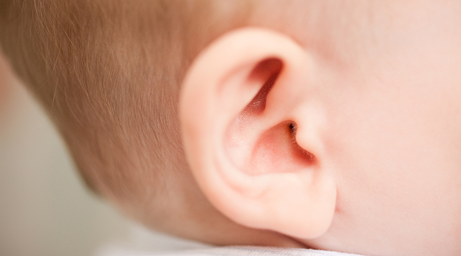 Ear, Nose, & Throat | UNC Health